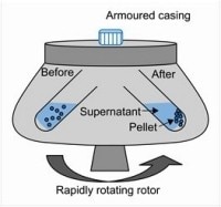 centrifugation bbc bitesize
